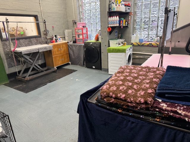 Popular, Professional Doggy Daycare Business - ALAN J PICKEN