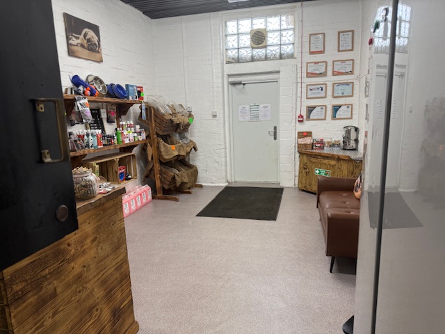 Popular, Professional Doggy Daycare Business - ALAN J PICKEN